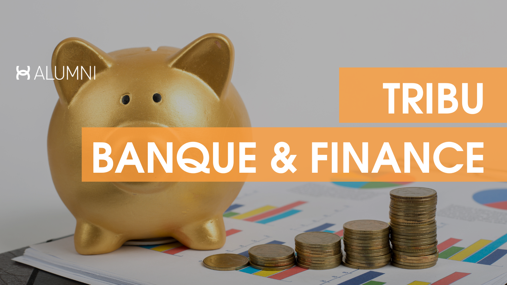 Banque / Finance